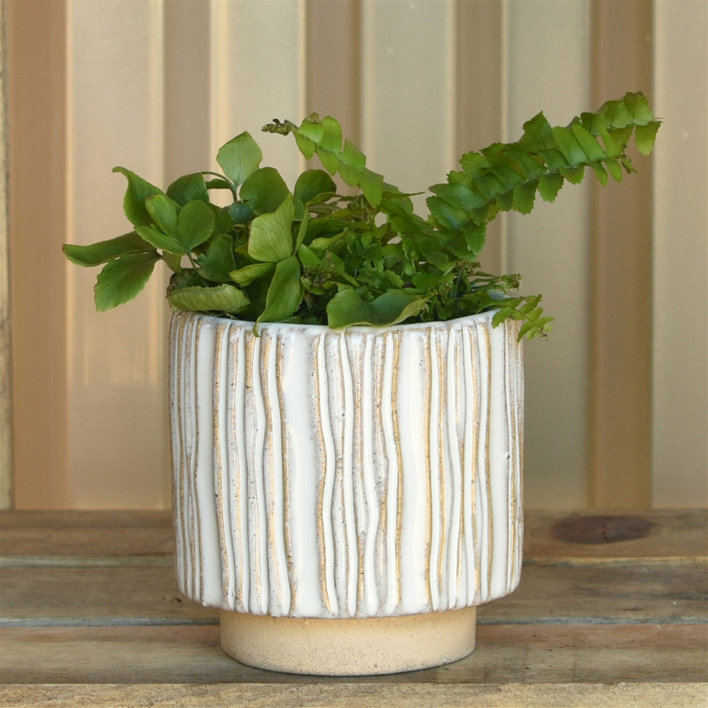 Vertical Stripe Cachepot, Assorted Sizes – Culture Couture